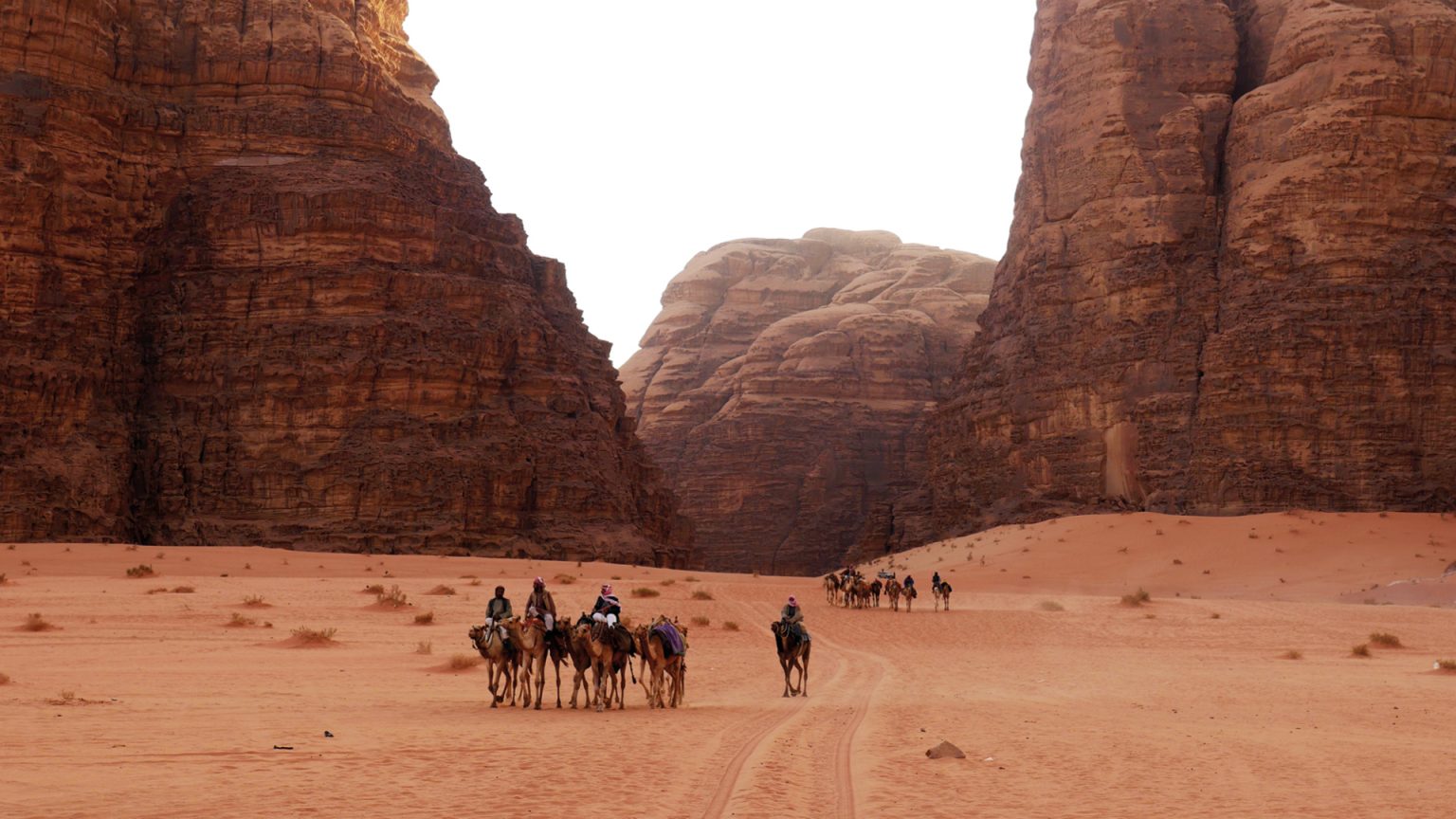 Wadi Rum woestijn in Jordanië: alle informatie op een rij | REiSREPORT