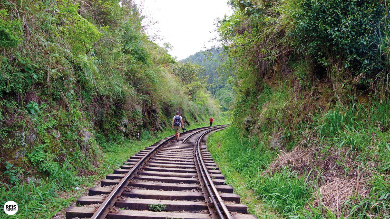 Ella Nine Arch Bridge: alle informatie op een rij, Sri Lanka | REiSREPORT