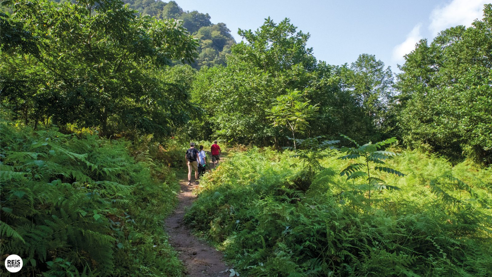 Batumi, vakantie vieren aan het strand van Georgië | REiSREPORT