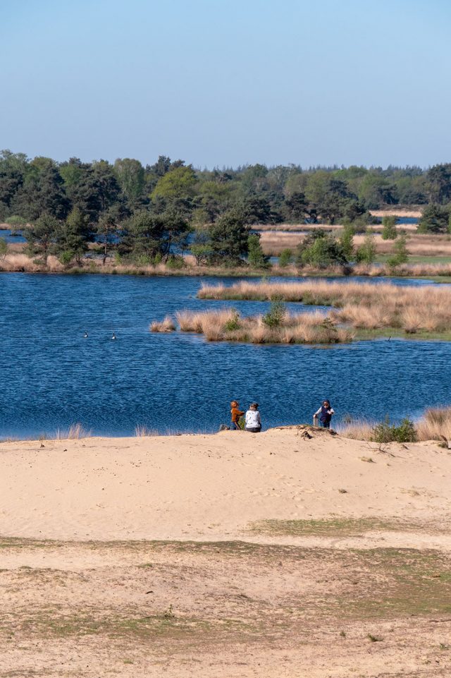 Het Groene Woud in Brabant: tips voor een dagje uit | REiSREPORT