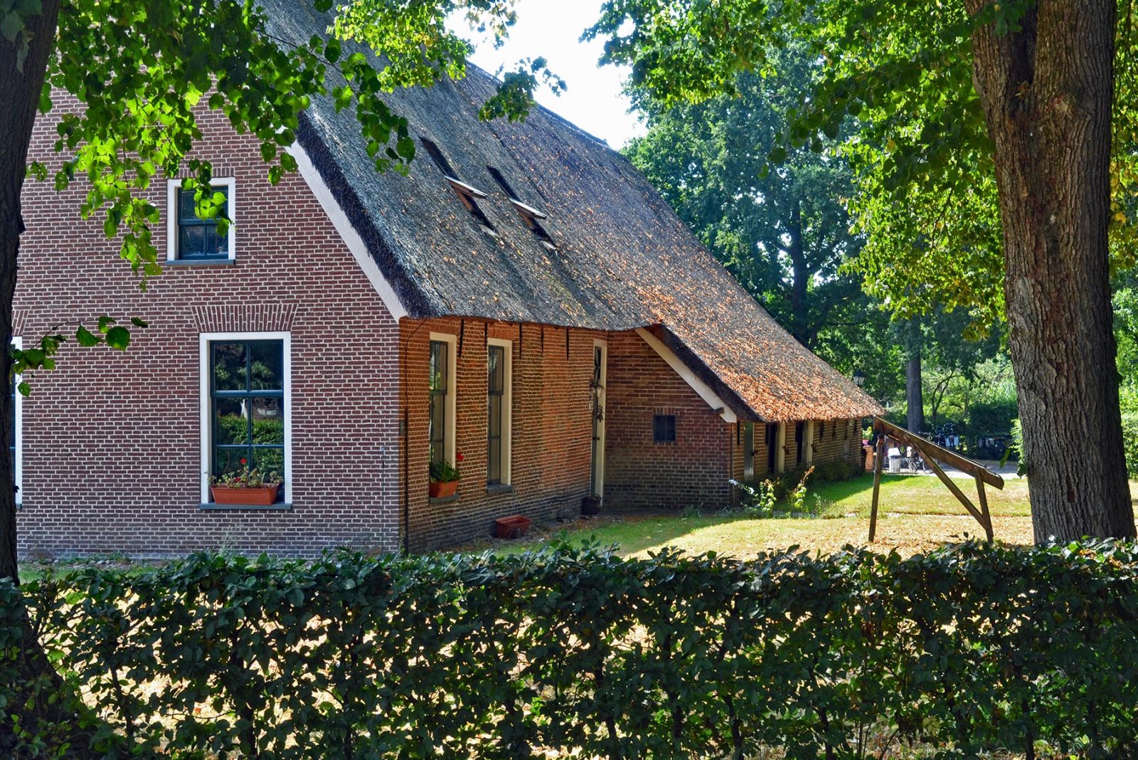 Orvelte in Drenthe: wandelen in een museumdorp | REiSREPORT