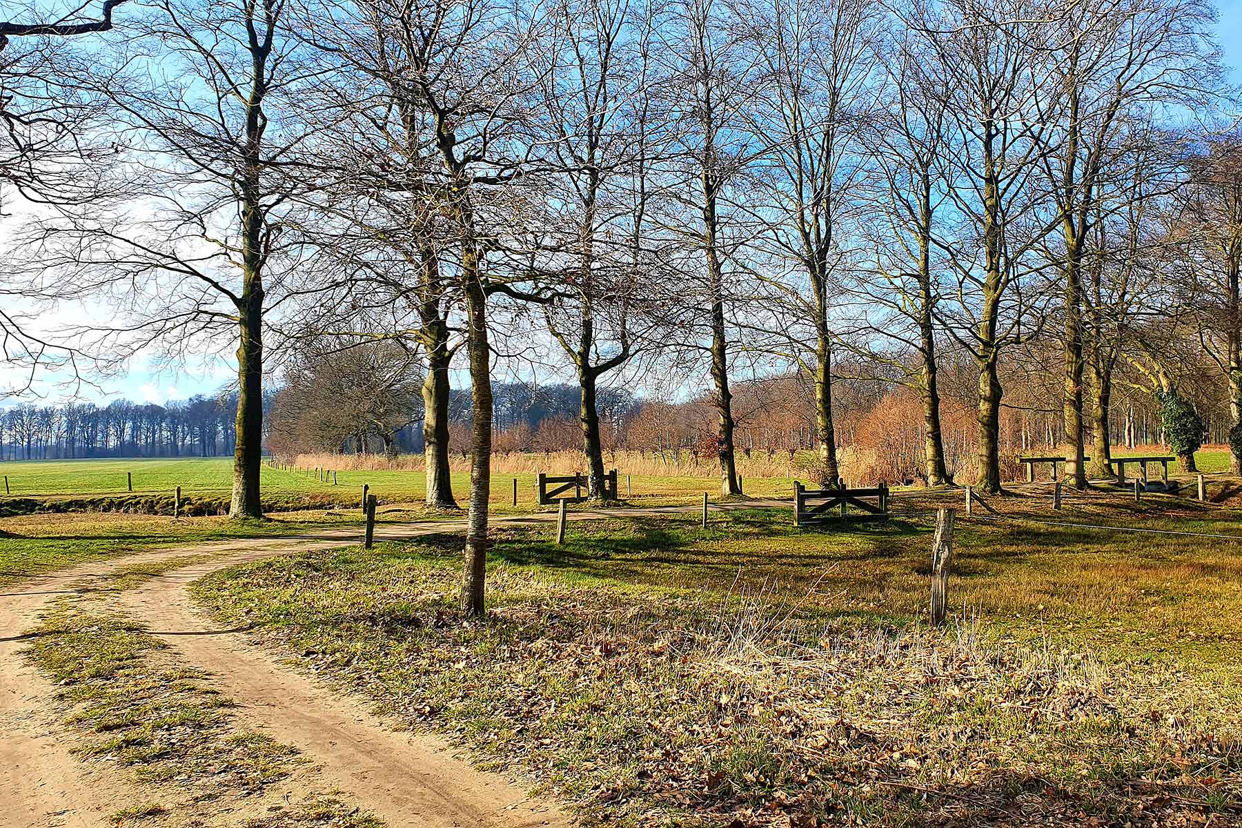 Diepenheim wandeling: het kleinste stadje van Overijssel | REiSREPORT