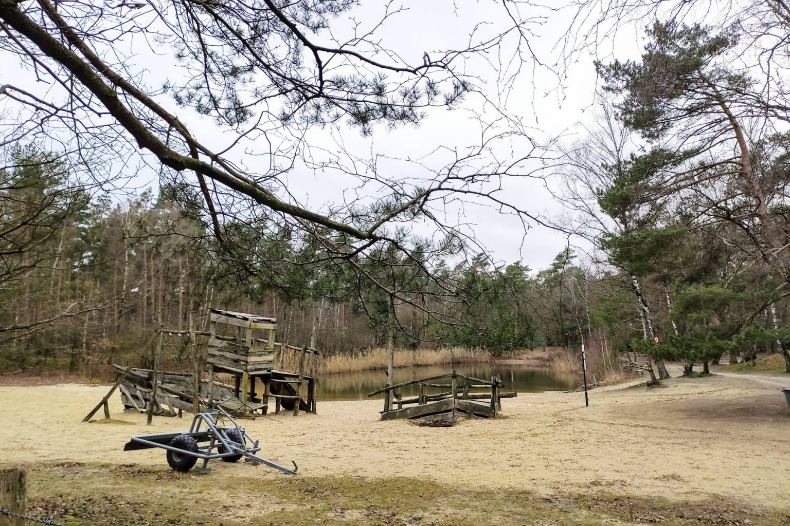 Lutterzand in Twente: mooi wandelen met de hond | REiSREPORT