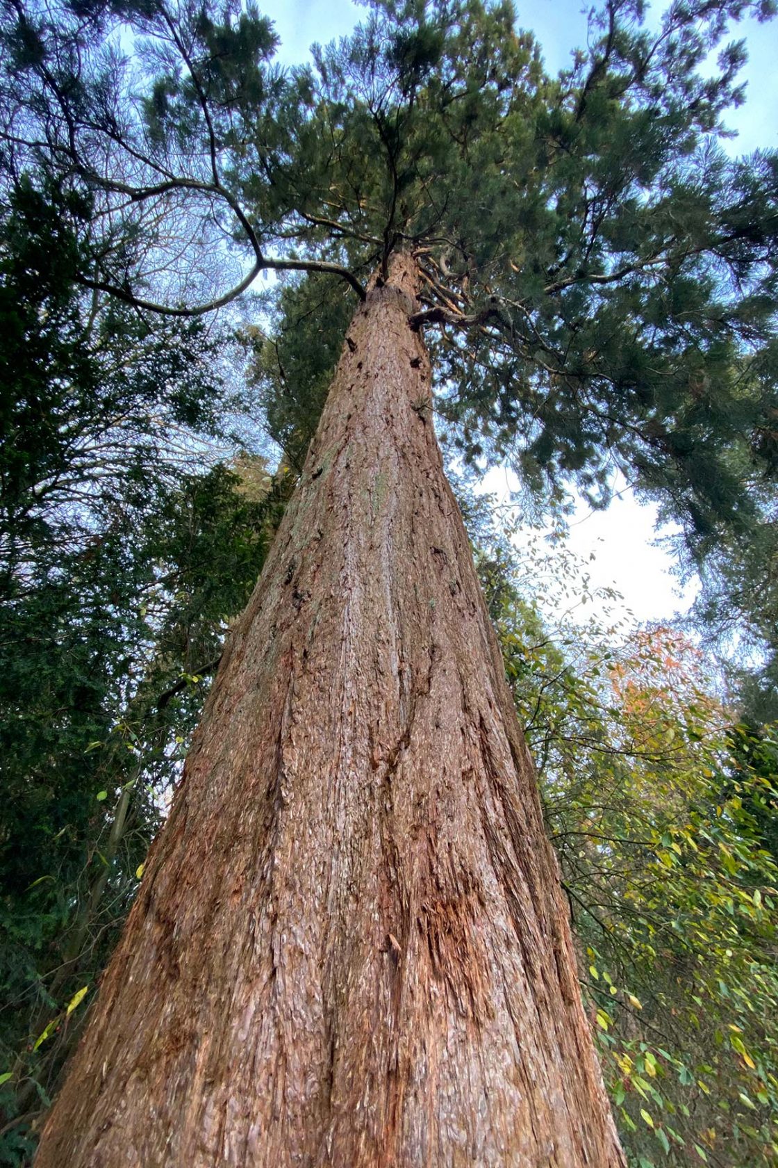 Een bezoek aan Putten en het Zwaartepunt van Nederland | REiSREPORT