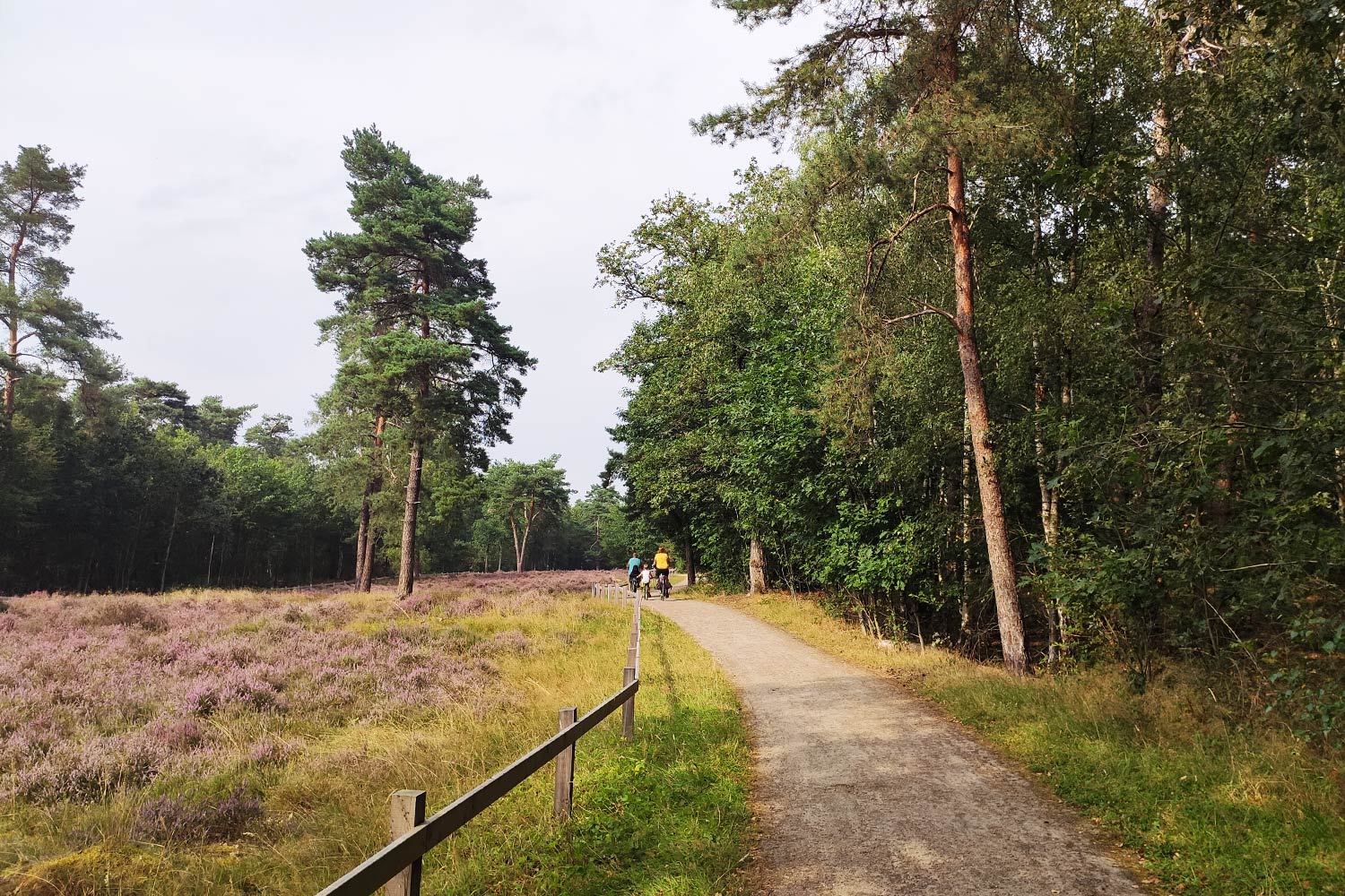 Het Hulsbeek in Oldenzaal, een prachtig park | REiSREPORT