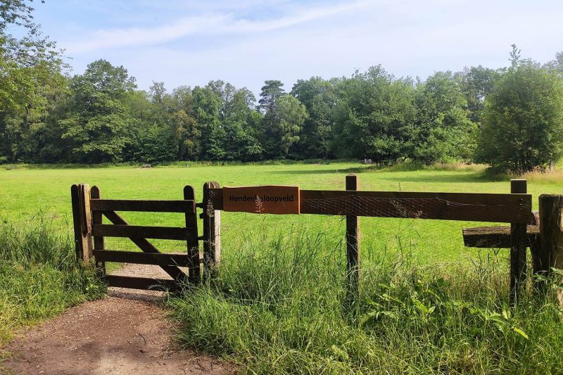 Het Hulsbeek in Oldenzaal, een prachtig park | REiSREPORT