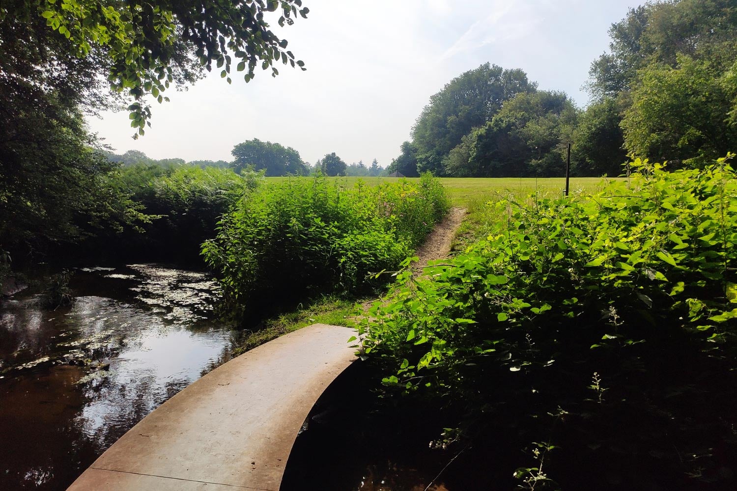 Het Hulsbeek in Oldenzaal, een prachtig park | REiSREPORT
