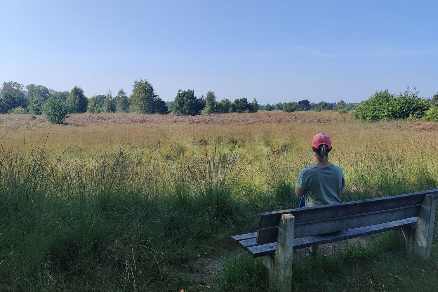 Wandelen over de Groote Heide | REiSREPORT