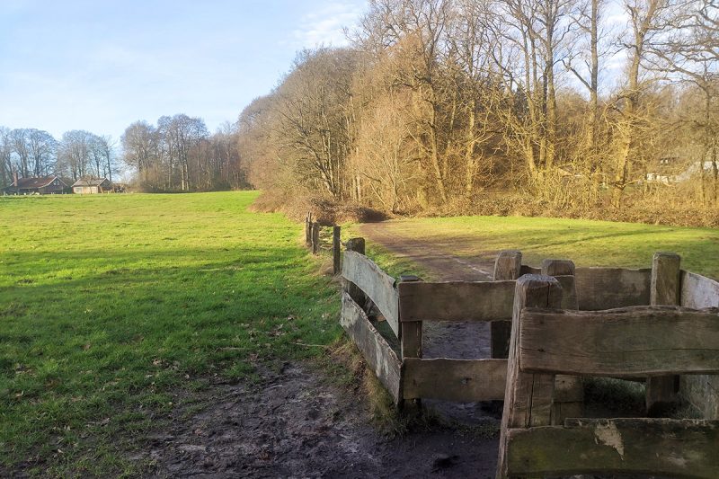 Twentse wandeling bij De Lutte | REiSREPORT