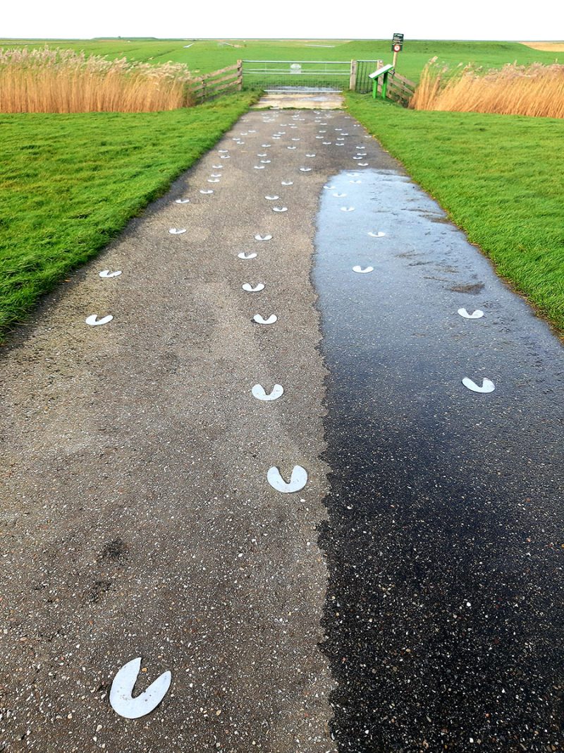 Ontdek Marrum in het hoge noorden | REiSREPORT