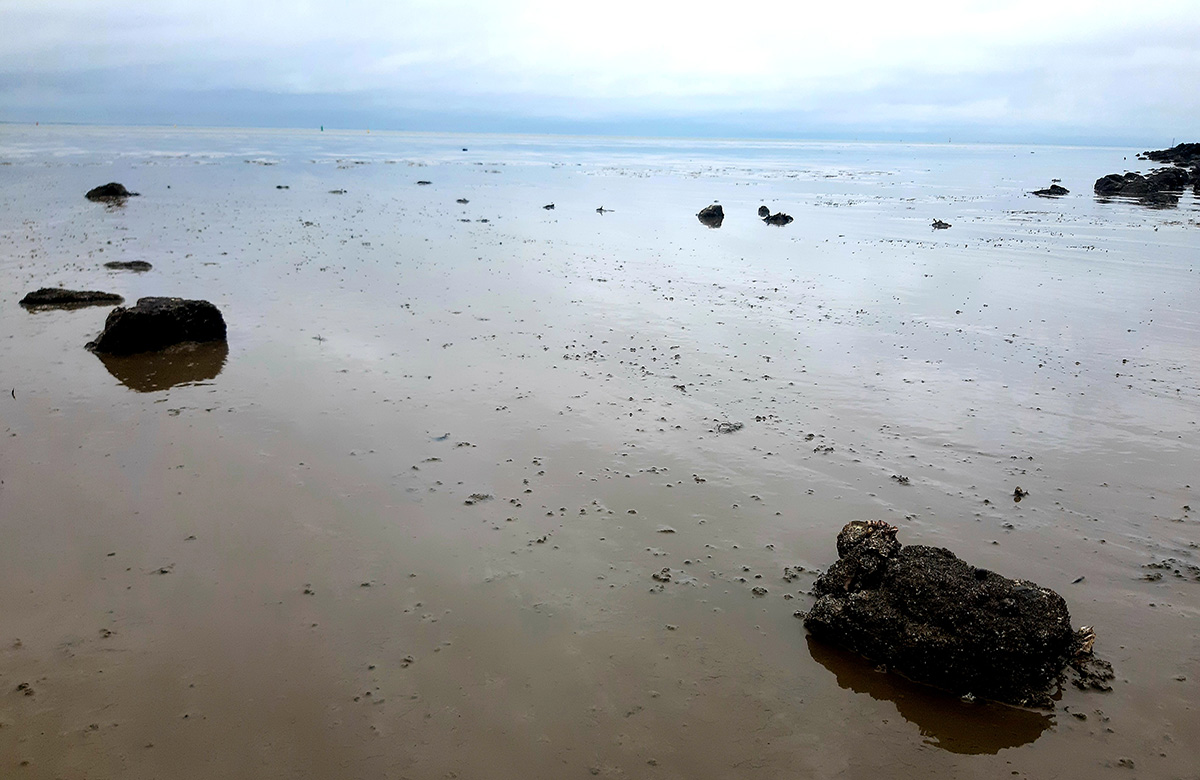 Ontdek Marrum in het hoge noorden | REiSREPORT