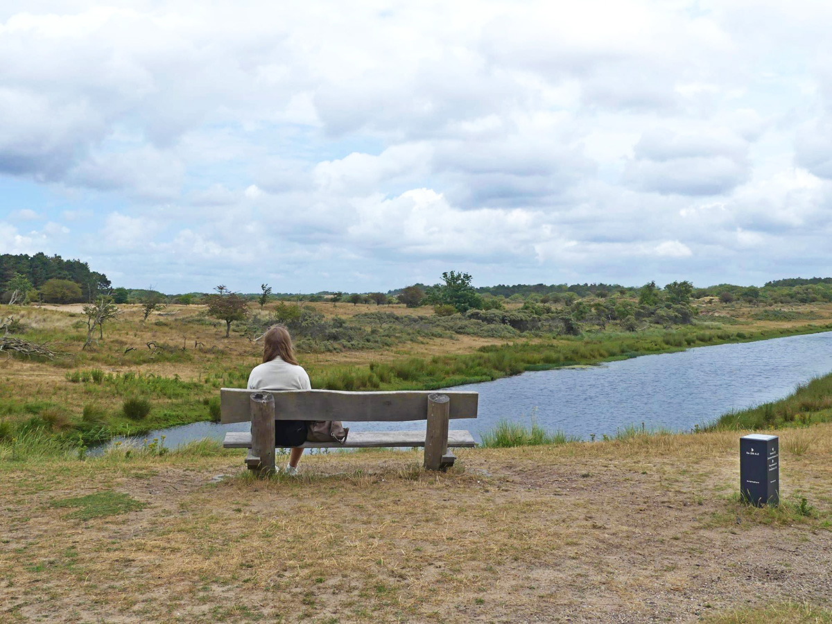 Op ontdekking in de Amsterdamse Waterleidingduinen | REiSREPORT
