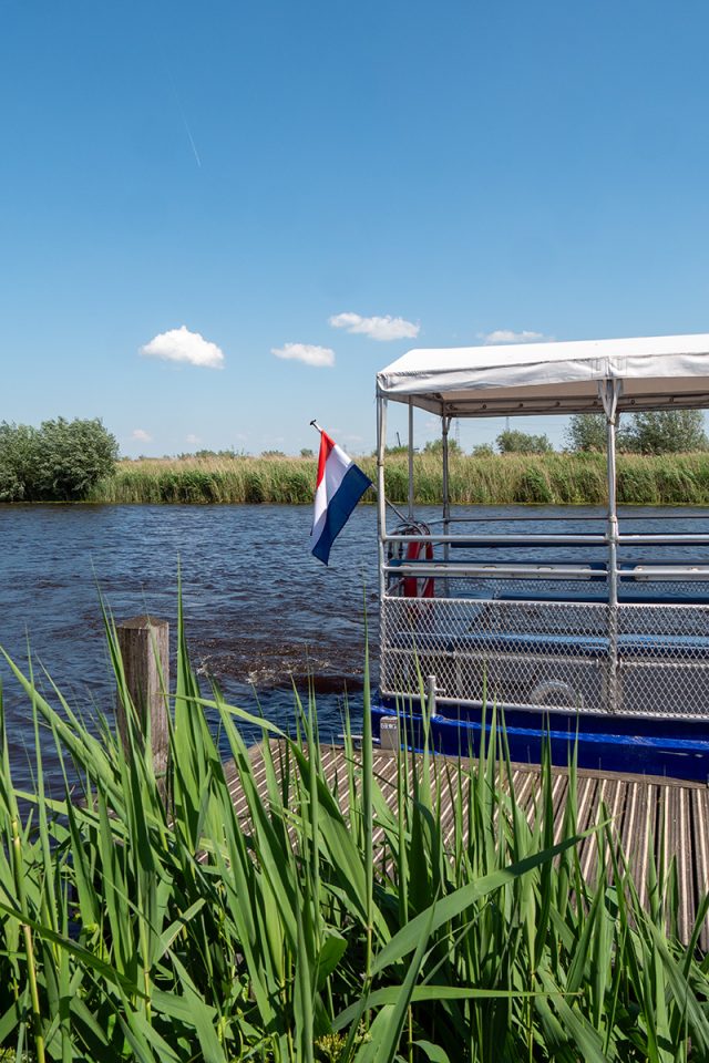 Kinderdijk: molens, wandelen en bootje varen | REiSREPORT