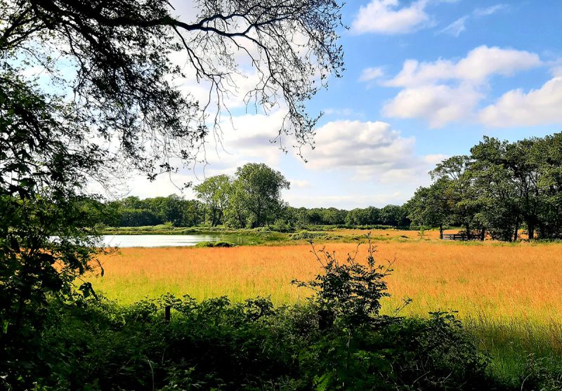 NS-wandeling Fort de Roovere & Bergen op Zoom | REiSREPORT